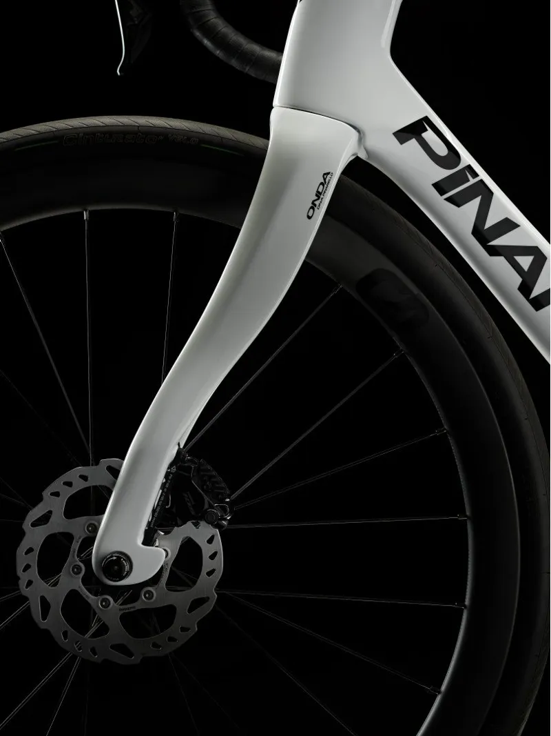 White pinarello store
